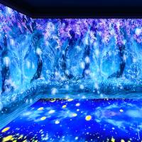 China Decorative Wall Sheet Creative 3d Projection Magic Mural Interactive Experience for sale
