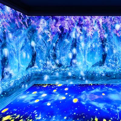 中国 装飾壁紙 クリエイティブな3Dプロジェクション マジック 壁画 インタラクティブな体験 販売のため