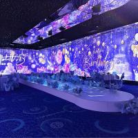 China Customized Outdoor Forest 3d Mapping Interactive Projector Immersive Visual Projection for sale