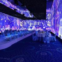 China Customized Outdoor Forest 3d Mapping Interactive Projector Immersive Visual Projection for sale