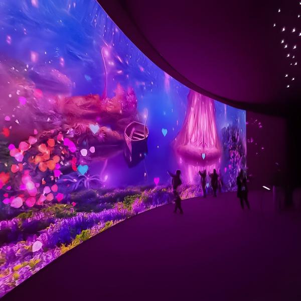 Northern Lights Immersive Interactive Wall Progettazione educativa per bambini