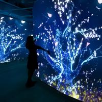 China Large 3D Immersive Wall Interactive Wall Projection System For Hotel for sale