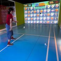 China Interactive Projection Badminton Hall Simulates Automatic Launching Throwing Machine for sale