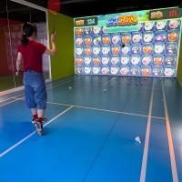 China Interactive Projection Badminton Hall Simulates Automatic Launching Throwing Machine for sale