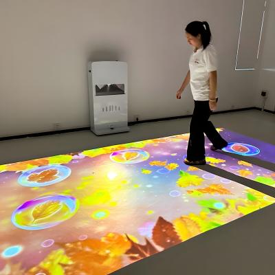 China Sistema de juego de proyección terrestre extraíble todo en uno para niños 300W en venta