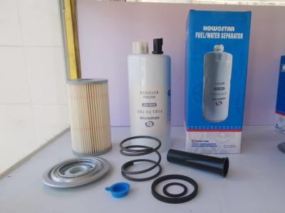 Cina 6313767X Filtri di carburante Cina Filtro di carburante per camion in vendita
