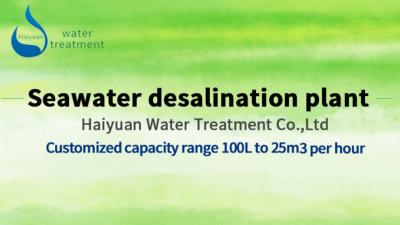 Cina Sistema commerciale 500lph di filtrazione dell'acqua di osmosi inversa dell'acqua salmastra in vendita