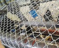 China Chain Link Mesh Fence 3-12ft Height with 40-100mm Mesh & 1.8-5.0mm Wire Diameter for sale