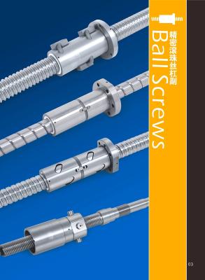 China China ball screw 10020-10 large load  for plastic machinery for sale