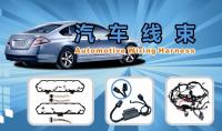 China Custom Automotive Wiring Harness 12V 24V Cable Assembly for Durable Vehicle Electrical Systems for sale