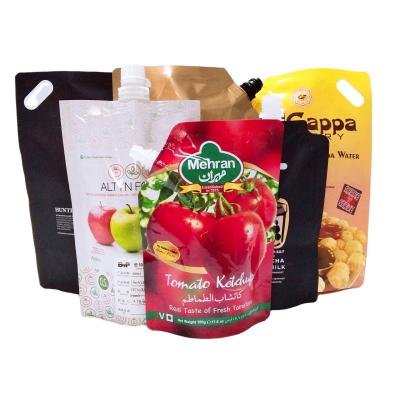 China High Quality Custom Reusable Drinking Spout Pouch Stand up Pouch for Fruit Juice Baby Milk Food Packaging Bags for sale