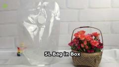 5L Oil Bag in Box Packaging Solutions