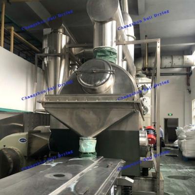 Cina Gas naturale ZLG asciugatrice a letto fluidizzato vibrante industria chimica e alimentare in vendita