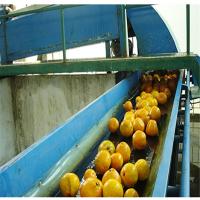 Quality Electric Orange Juicer Machine Orange Juice Squeezer Fruit Juice Making Machine for sale