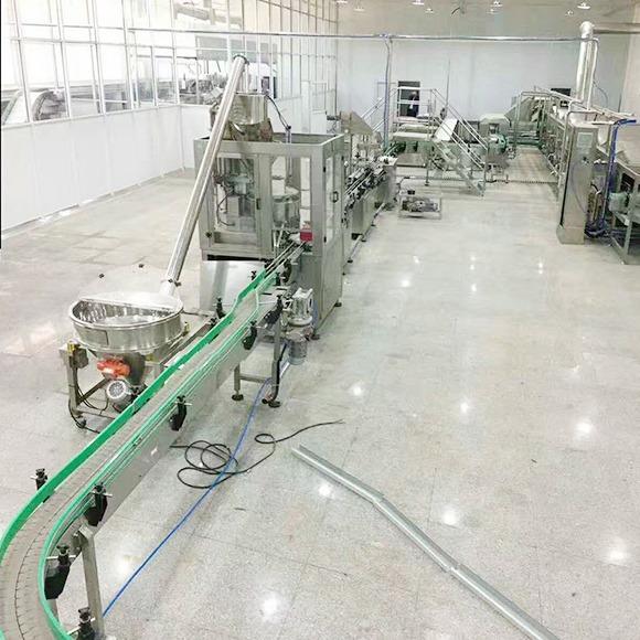 Quality Chilli Grinding Making Machine Red Chilli Paste Processing Machine Automatic for sale