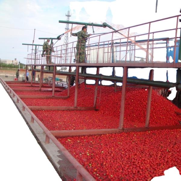 Quality Complete Tomato Processing Plant Small Scale Ketchup Processing Line Tomato for sale
