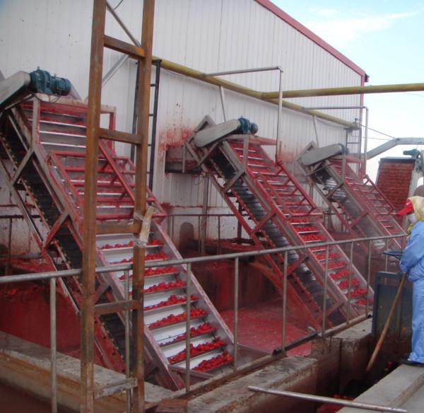 Quality Complete Tomato Processing Plant Small Scale Ketchup Processing Line Tomato for sale