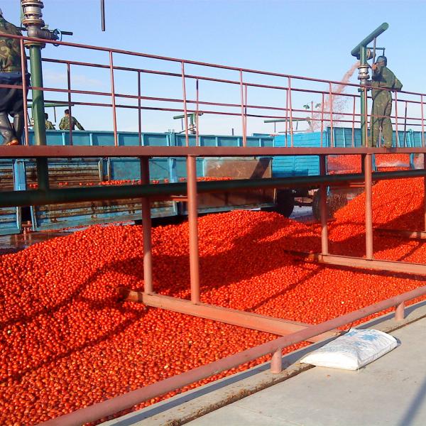 Quality Cost Effective Tomato Sauce Making Machine Tomato Processing Machine Production for sale