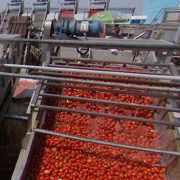China Factory Price Tinned Canned Tomato Paste Jam Ketchup Production Plant Processing Machine for sale