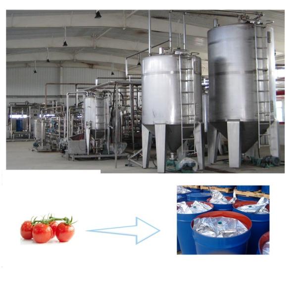 Quality Industrial 28-30 Tomato Paste Making and Processing Machinery Automatic for sale