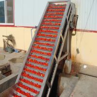 Quality Factory Price Tomato Mango Paste Puree Pulp Juice Sauce Ketchup Jam Making for sale