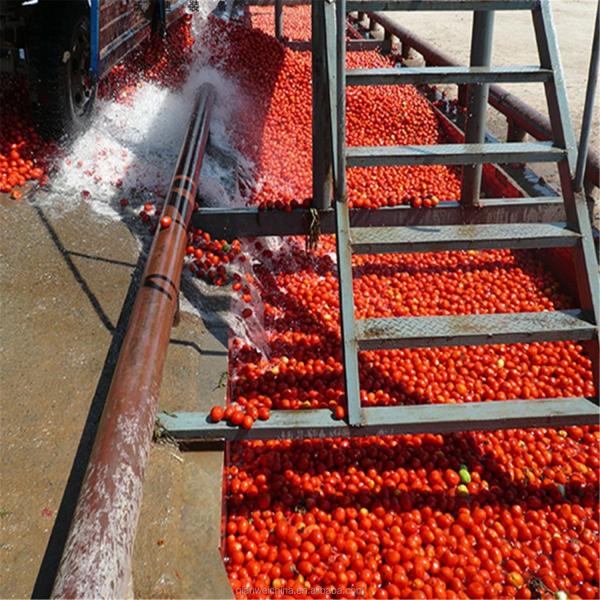 Quality Automatic Tomato Paste Making Machine Tomato Sauce Production Line for Sale for sale