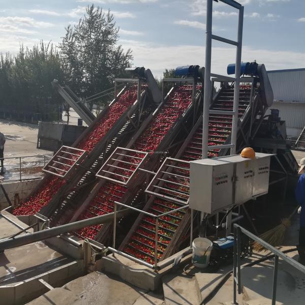 Quality Automatic Tomato Paste Making Machine Tomato Sauce Production Line for Sale for sale