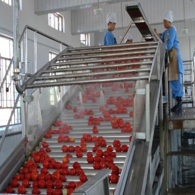 China Ce Iso Fully Automatic Manufacturer Tomato Pulp Puree Processing Plant Tomato Paste Making Machine for sale