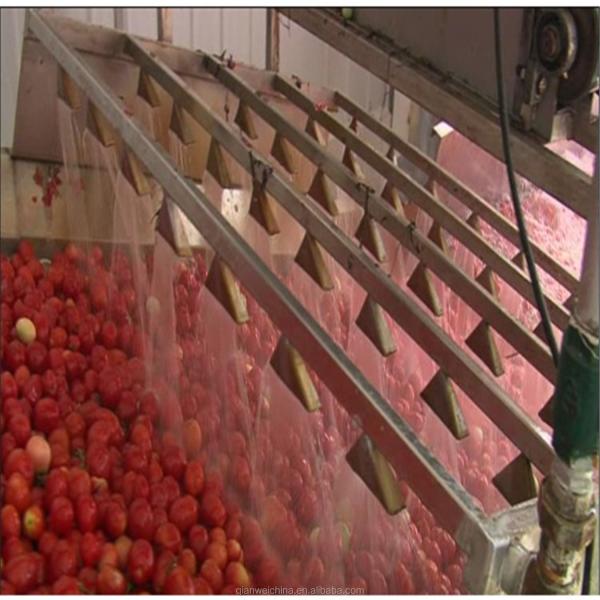 Quality Factory Outlet Turnkey Solution for Tomato Paste Processing Machine Production for sale