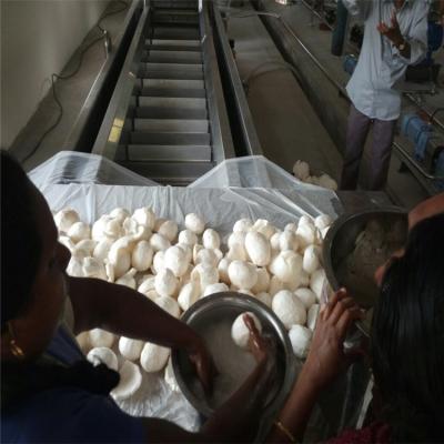 China Vco Virgin Coconut Oil Production Line Machine Factory Plant for sale