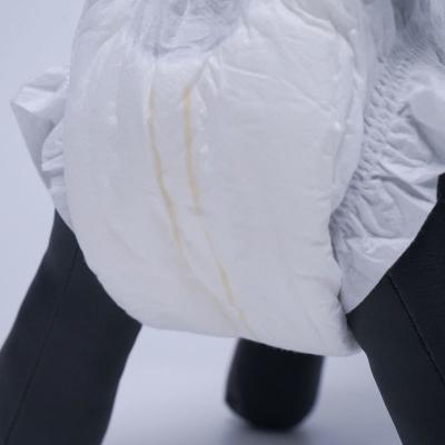 China Customized Size Disposable Pet Diapers Puppy Pee Diapers 12pcs/bag For Urine for sale