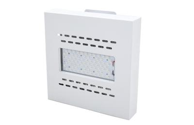 China Explosion-Proof LED Canopy Lights for sale