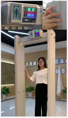 China Paseo de las zonas de la serie 6 del infrarrojo 300 a través del detector de metales en venta