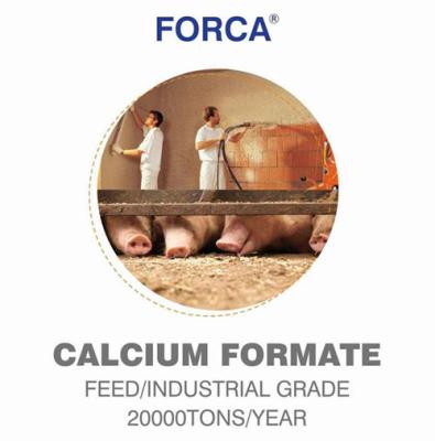 China Building material calcium formate producer for sale