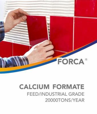 China Saudi Arabia Market CF wholesaler for concrete used for sale