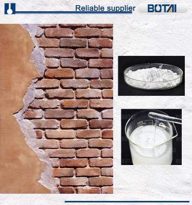 China RDP powder for tile adhesive EPS cement panel glue for sale