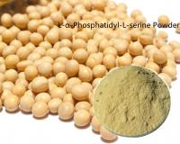 Cina Polvere della L-α-Fosfatidilico-L-serina della polvere dell'estratto della soia utilizzata in alimento salutare in vendita