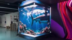 Indoor Ultra-HD Fine-Pitch 3D LED Display – Bringing Products to Life for Retail Showcases