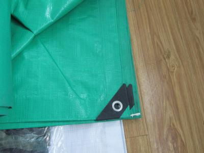 China lona verde, lona del polietileno, material del toldo en venta
