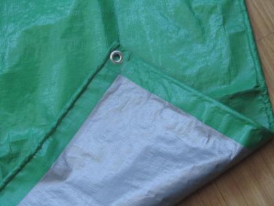 China 200gsm zilveren/groen canvasgeteerd zeildoek Te koop