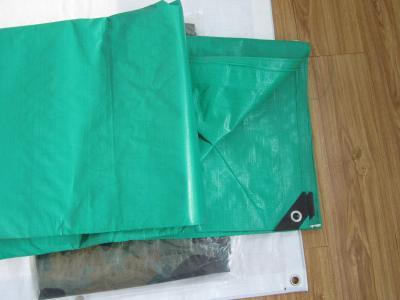 China LONA de la LONA PRENDA IMPERMEABLE del VERDE de los 3.0M de los x 3.5M (10' x12) en venta