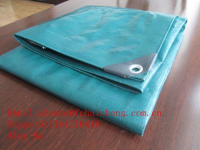 China PE Tarpaulin for sale