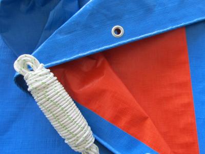 China Tarp fabric,tuck tarp,blue tarp,PE tarpaulin sheet for sale