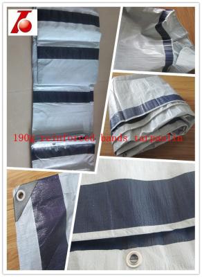 China hoja acabada de la lona del PE, lona blanca del color de 190gsm con las rayas azules del color en venta