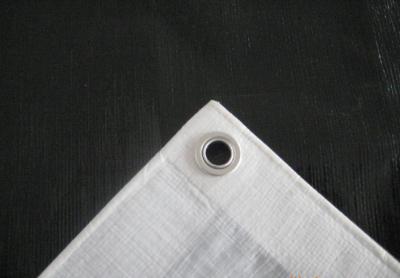 China PE van de beide kantenlaminering versterkte het geteerde zeildoek van blad6x8 yard Te koop