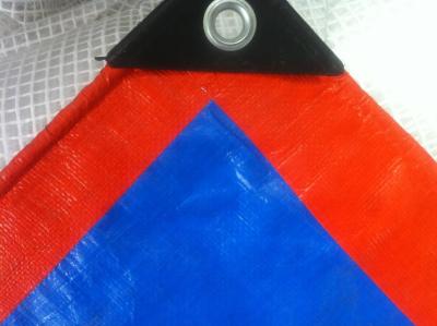 China el toldo los 4x6m reforzó la lona del PE con los ojales reforzados en las esquinas en venta