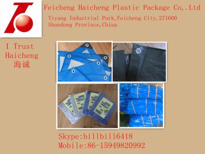 China Las lonas al aire libre impermeabilizan las lonas del azul de las hojas de la lona de la tela en venta