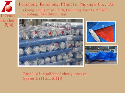 China hojas plásticas del HDPE en venta