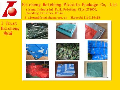 China various printed pe tarpaulin used for ice rink,swimming pool cover for sale