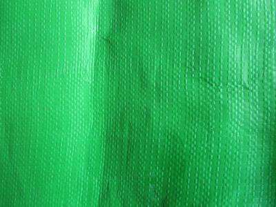 China groene kleuren polytarp populair in de V.S. Te koop